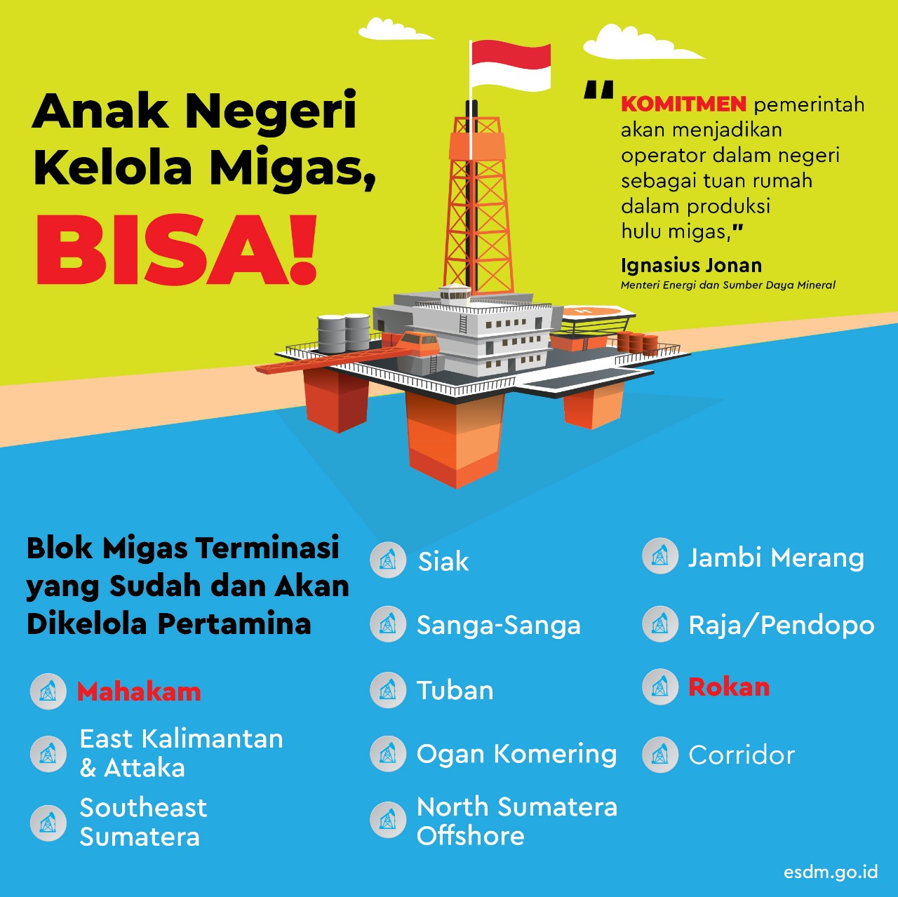 Resmikan Pembangkit Listrik Tenaga Biomassa Pertama di Asia Pasifik ...
