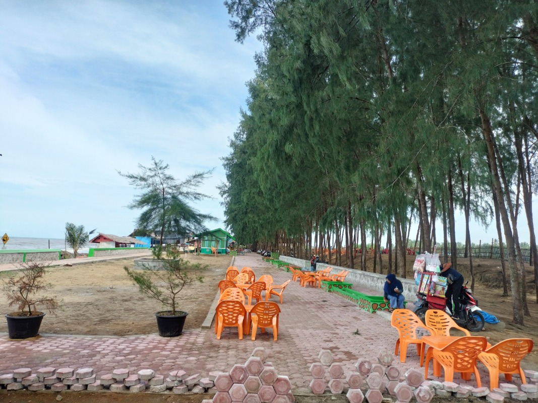 Pantai Cemara Destinasi KeluargaWisata Baru di Bireuen Favorit
